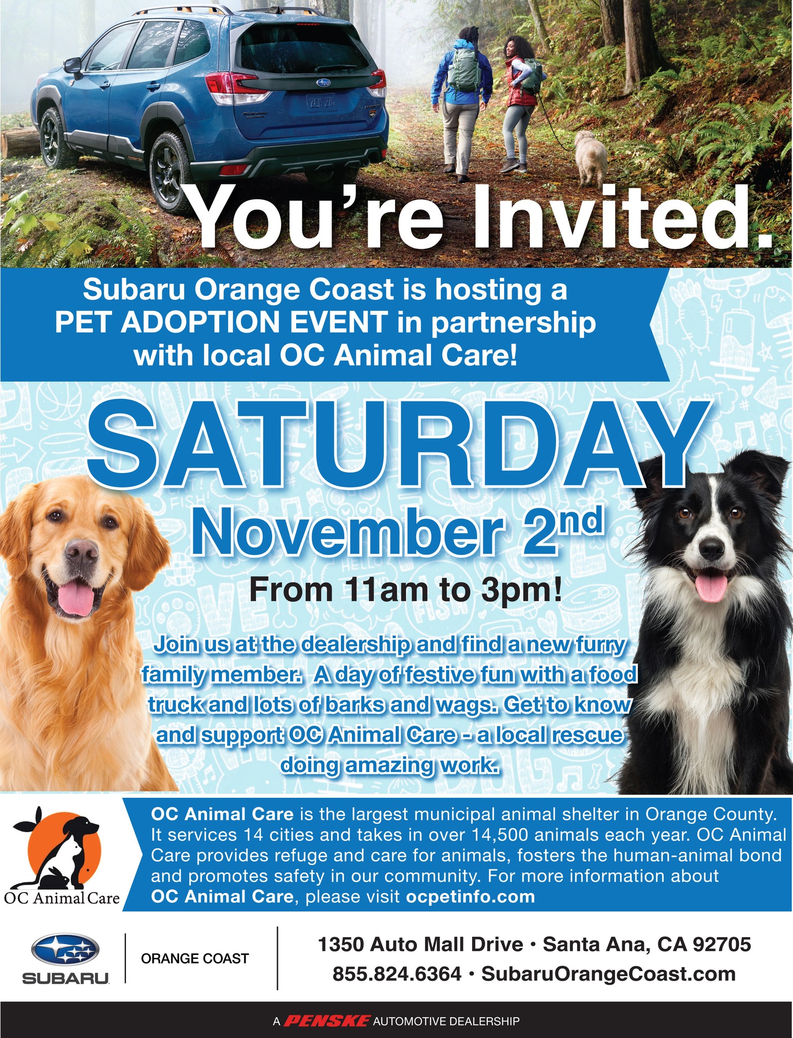 Subaru Orange Coast Pet Adoption Event | OC Animal Care